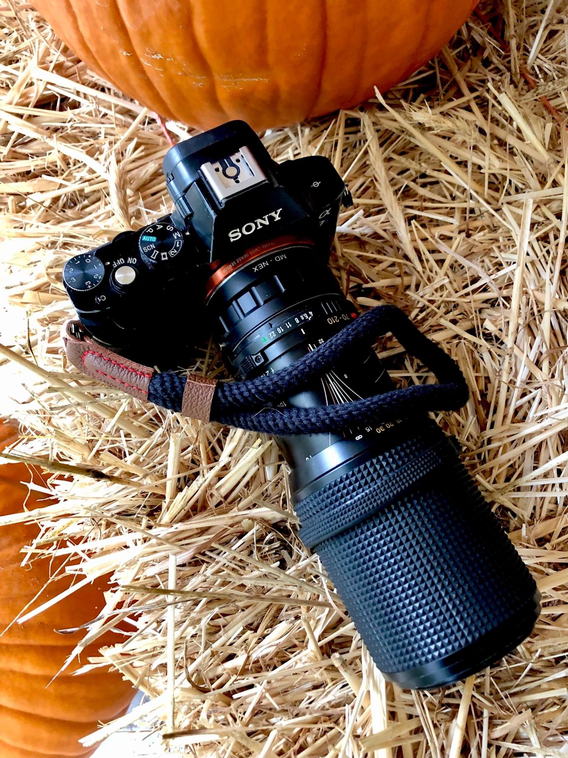 Alphatracks - Sony and Minolta SLR Weblog